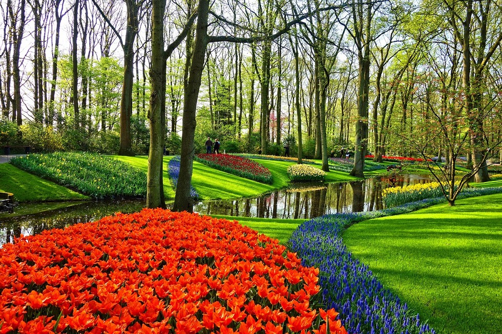 AMSTERDAM E I TULIPANI DI KEUKENHOF - Viaggi di gruppo - Basso Viaggi e ...