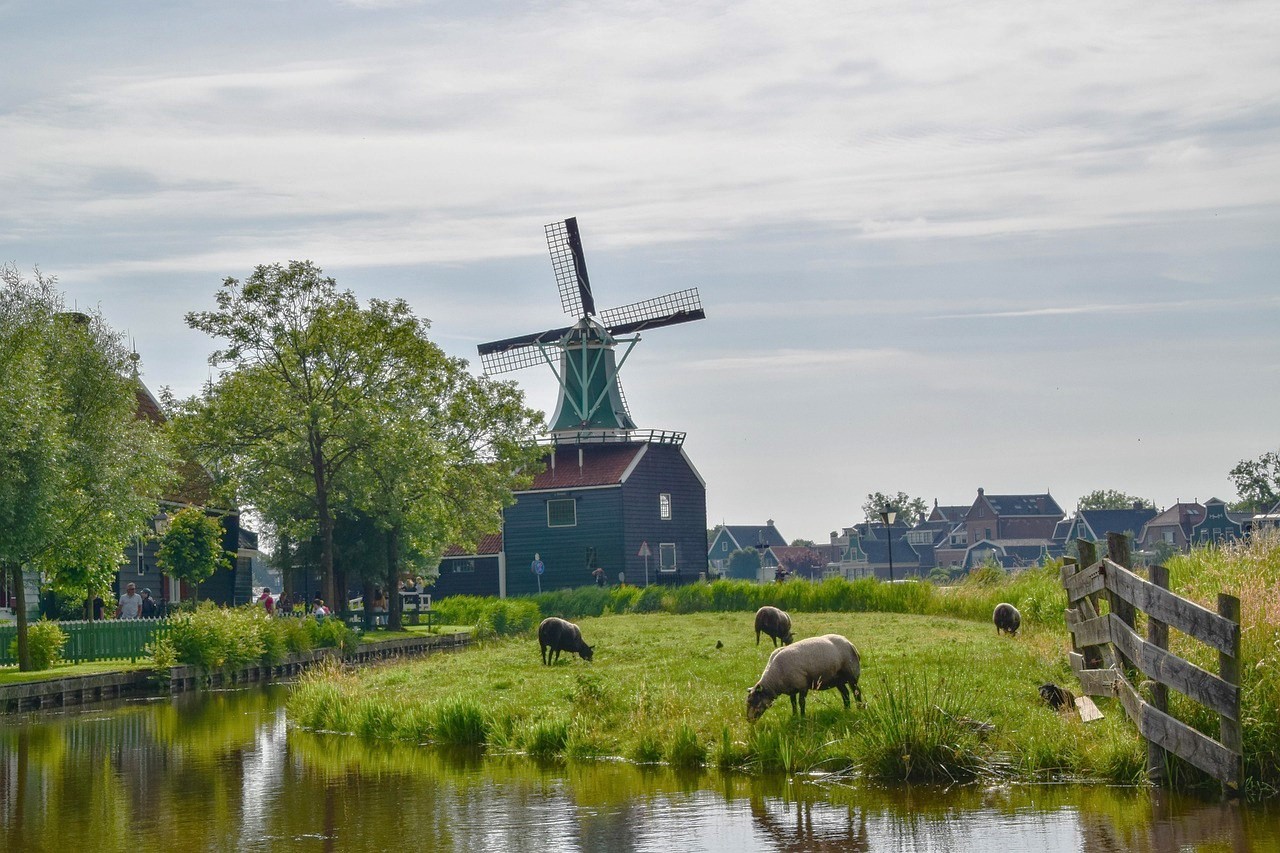 AMSTERDAM E I TULIPANI DI KEUKENHOF - Viaggi di gruppo - Basso Viaggi e ...